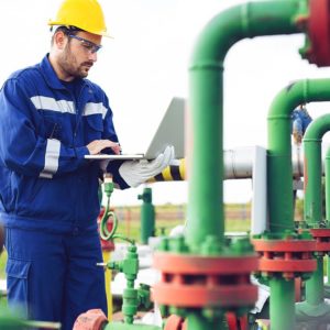 GIS Integrity Management Services - Integrity Plus